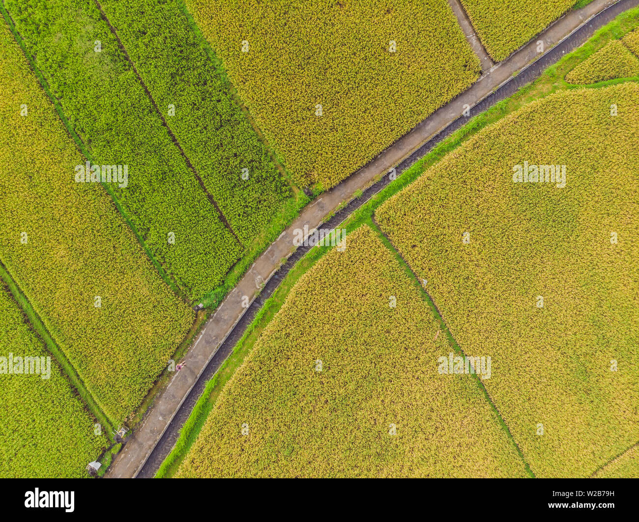 Image of beautiful Terraced rice field in water season and Irrigation ...