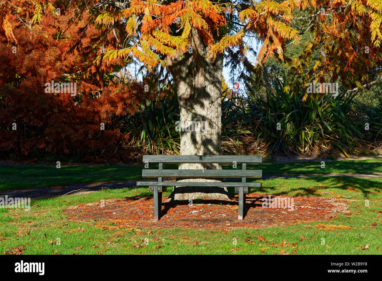 Time to take a break, a green wooden seat sits under a tree Stock Photo ...