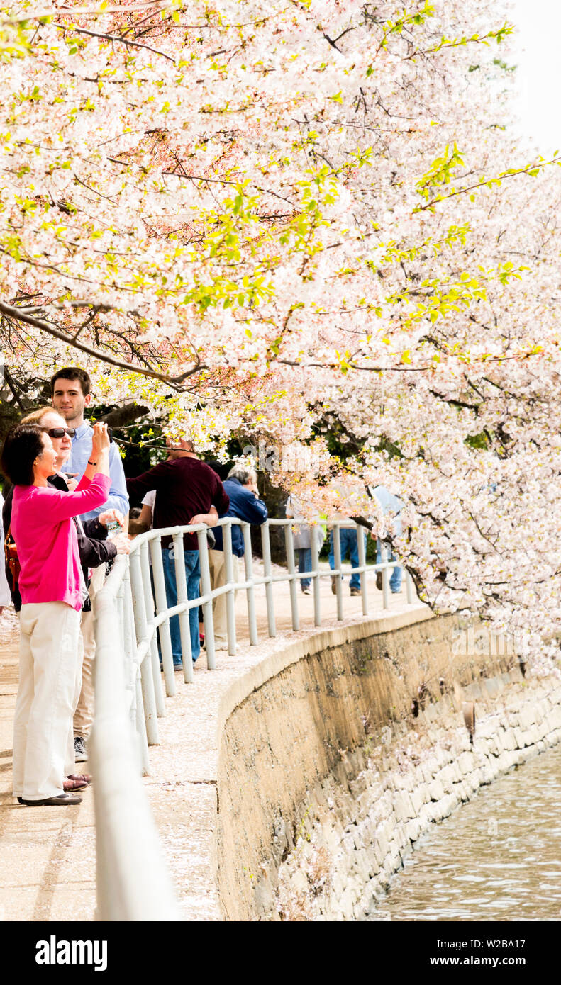 Washington dc nature photos hi-res stock photography and images - Alamy