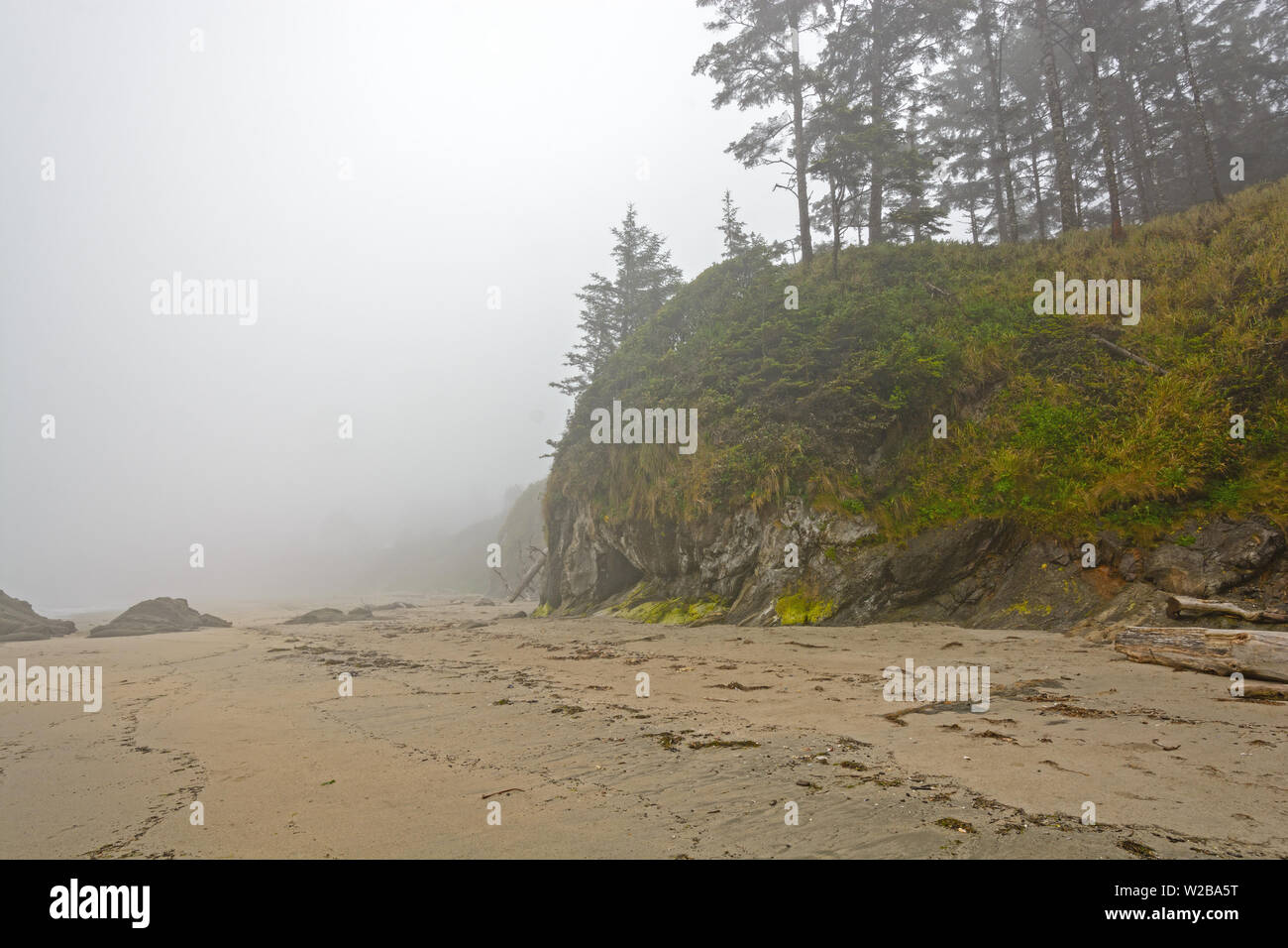 Fog and Mist on an Ocean Coastal Beach on the Oregon Coast near ...