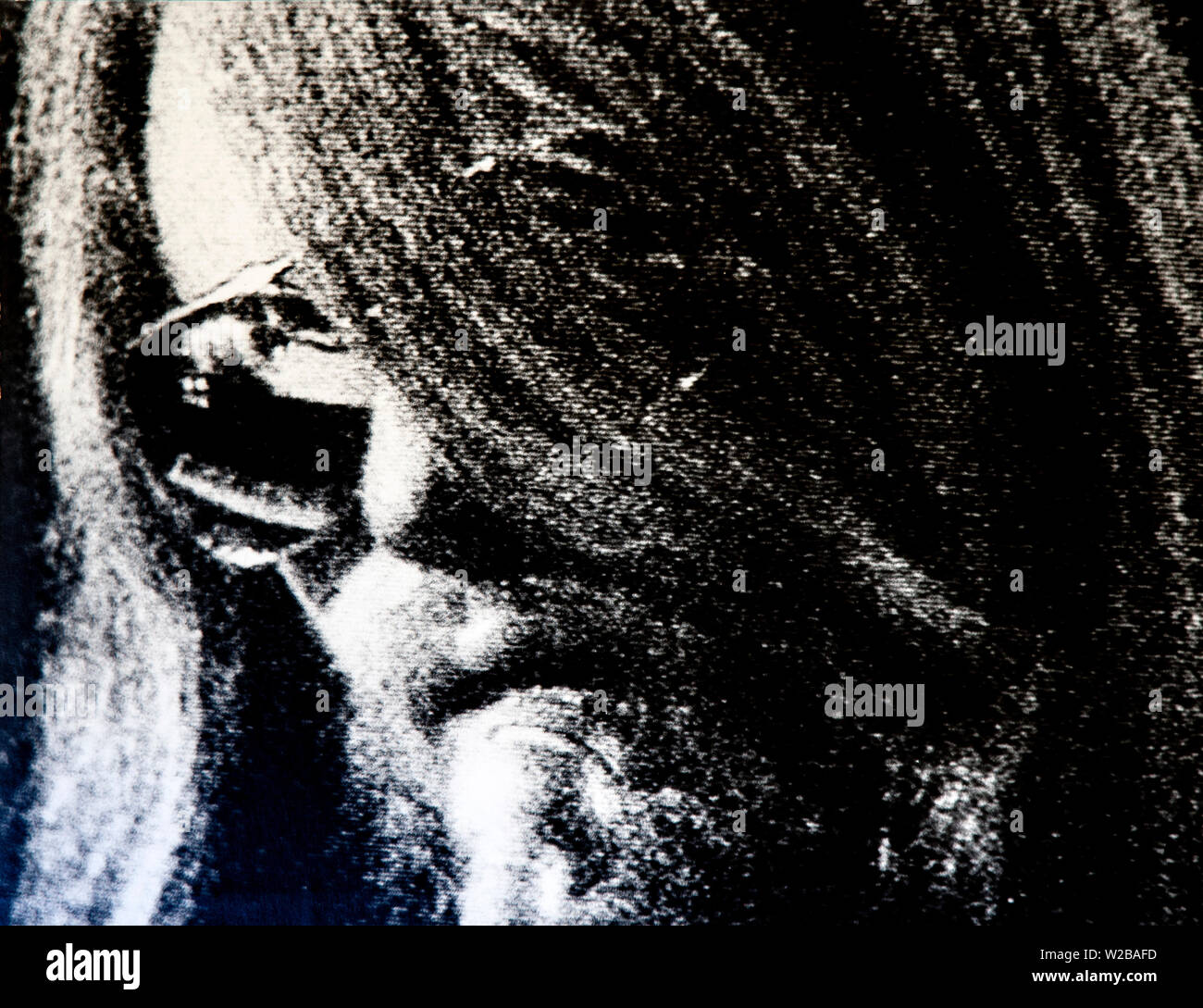 Artistic Portrait of Leon Russell Stock Photo - Alamy