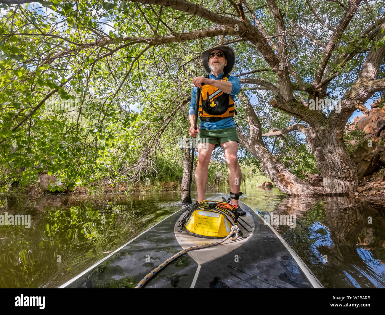 senior male paddler enjoying workout on a stand up paddleboard ...