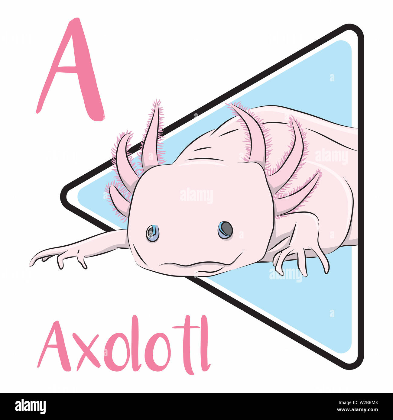 Axolotl vector hi-res stock photography and images - Alamy