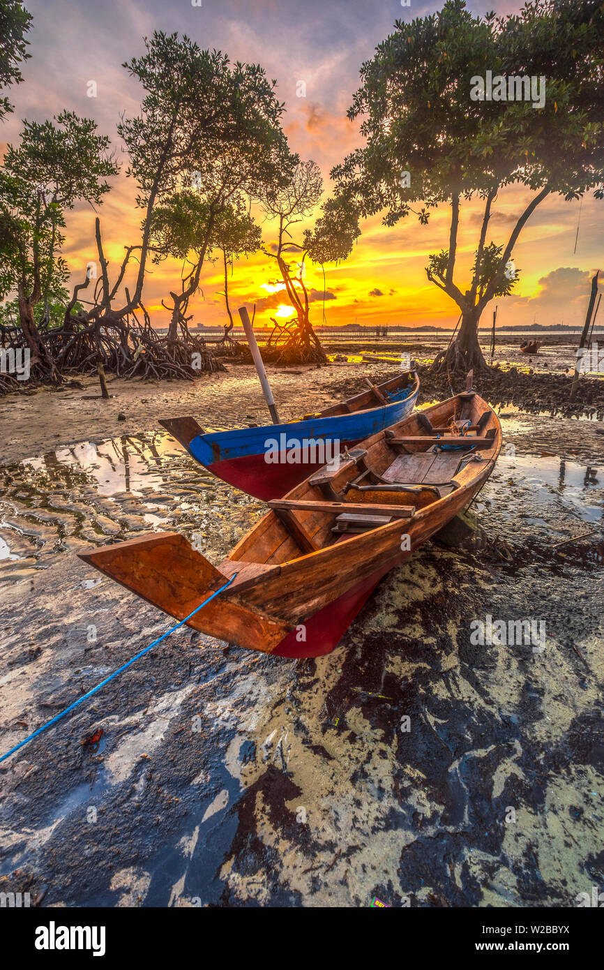 sunlight in the mangrove complex Stock Photo - Alamy