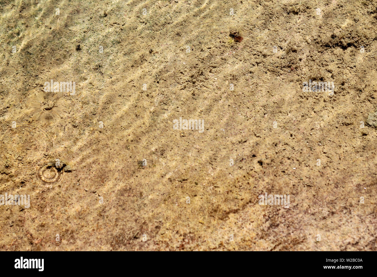 Captured water texture hi-res stock photography and images - Alamy