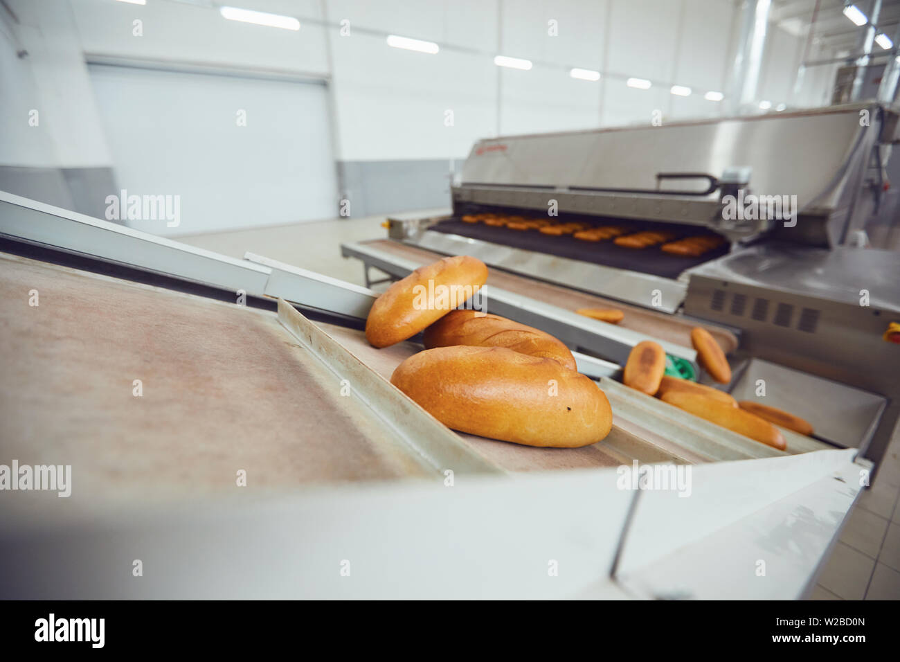 Raw bread on trays before baking in the oven at the bakery factory ...