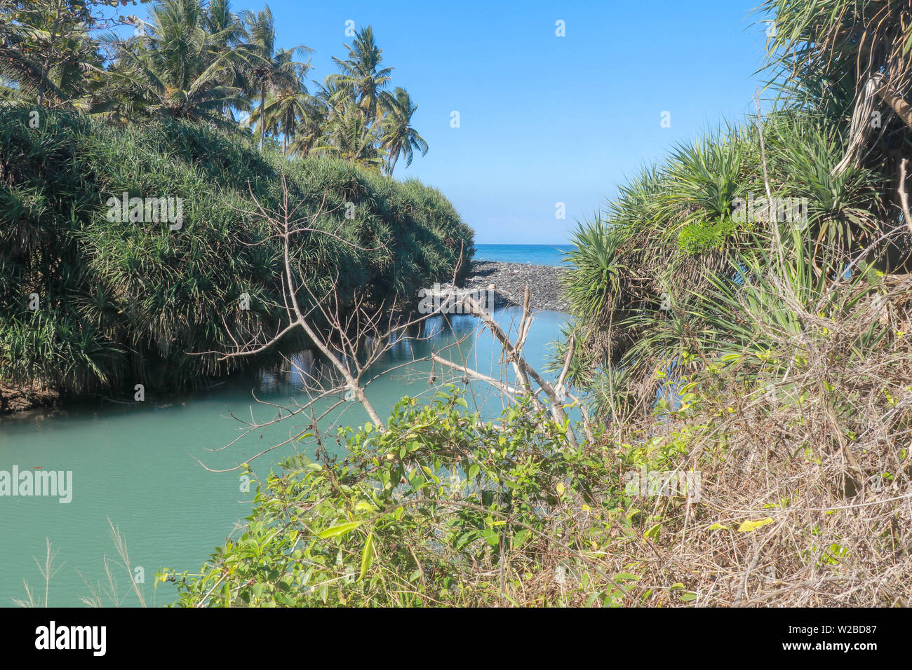 Rainwater in the river flowing into the ocean. Tropical flora lining ...