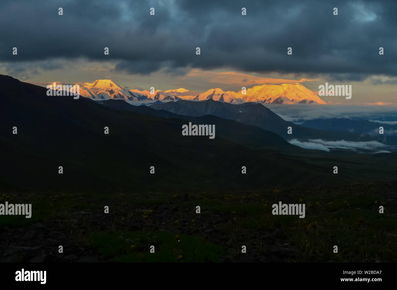 Sunrise view of Mount Denali - mt Mckinley peak with alpenglow during ...