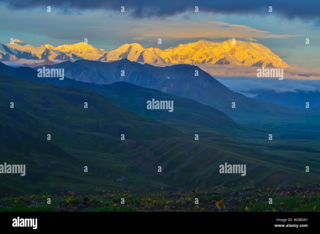 Sunrise view of Mount Denali - mt Mckinley peak with alpenglow during ...