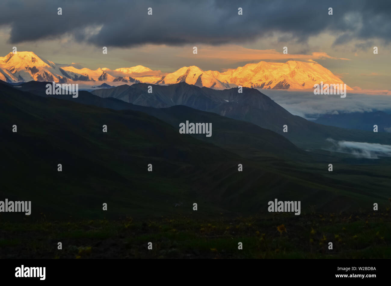 Sunrise view of Mount Denali - mt Mckinley peak with alpenglow during ...