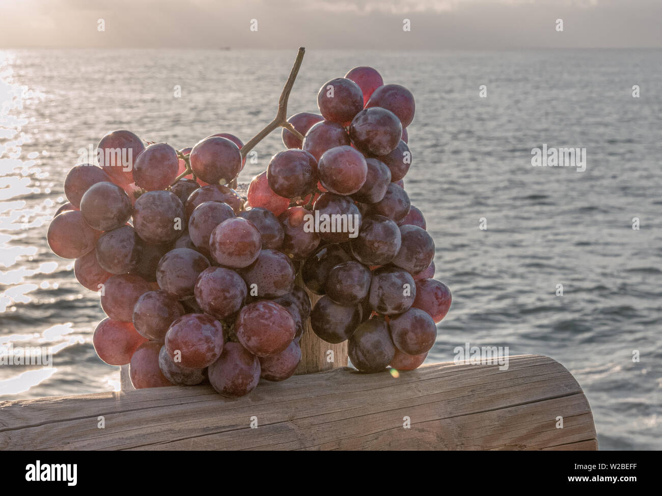 A cluster of large and delicious grapes on a rustic wooden dock and the ...
