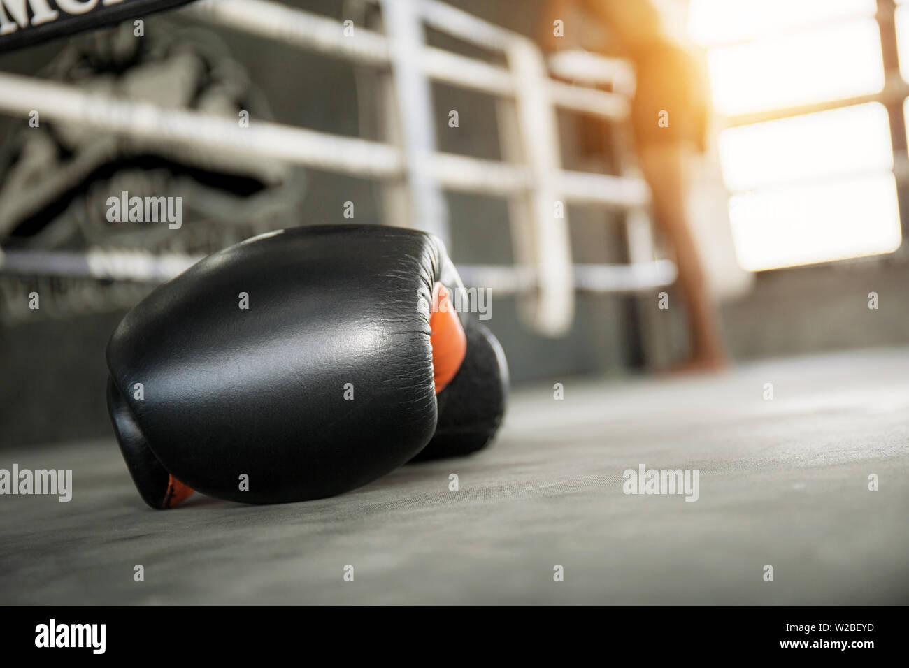 Boxing gloves on floor of ring with sunlight Stock Photo - Alamy