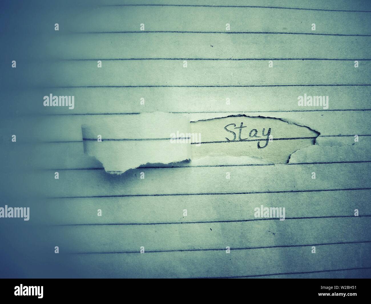 the horror word written on the piece of paper Stock Photo - Alamy