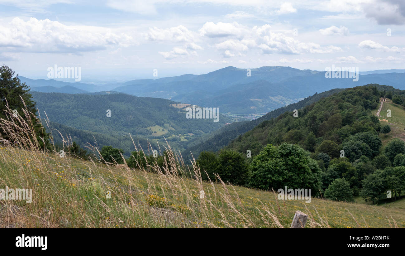 Vosges mountain hi-res stock photography and images - Alamy