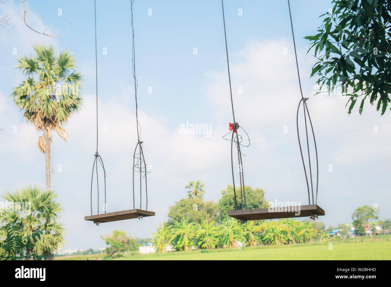 Swing on tree in countryside with the sky background Stock Photo - Alamy
