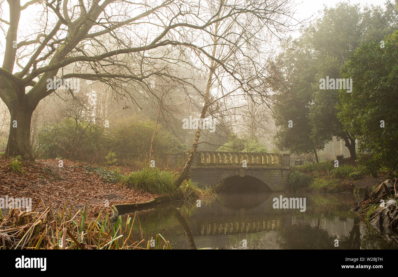Heavy veil hi-res stock photography and images - Alamy