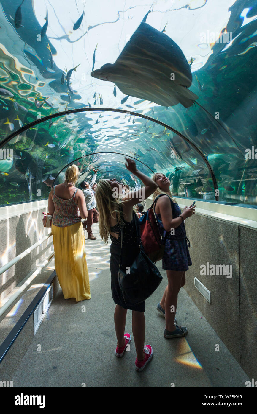 Australian marine life hi-res stock photography and images - Alamy