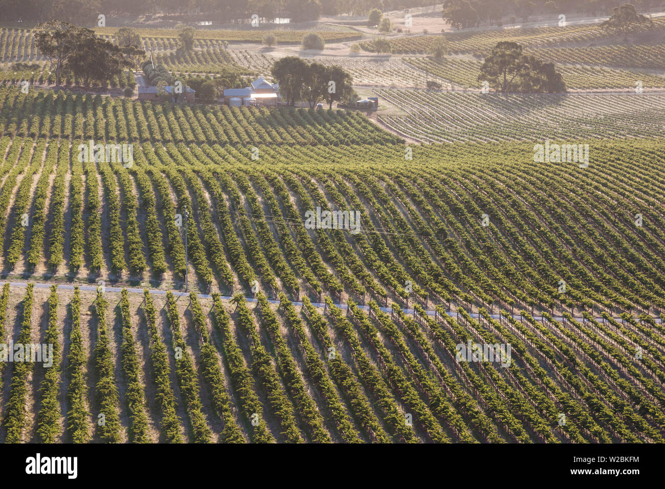 Clare valley south australia trail hi-res stock photography and images ...