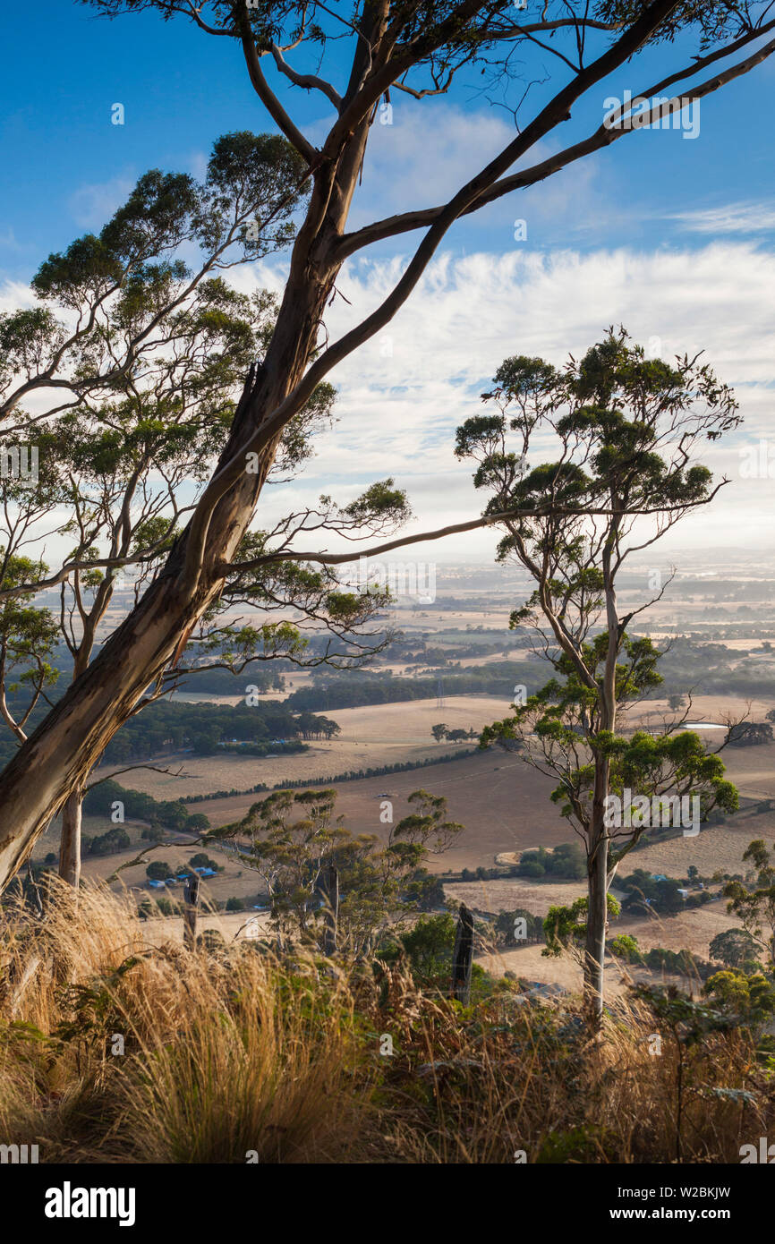 Victoria australia landscape trees hi-res stock photography and images ...