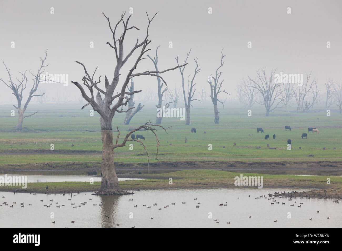 Victoria australian landscape australia hi-res stock photography and ...
