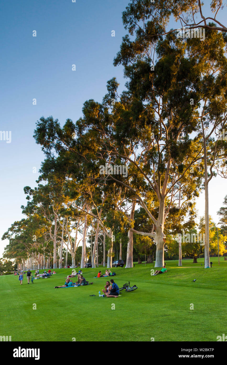 Perth king's park tree hi-res stock photography and images - Alamy