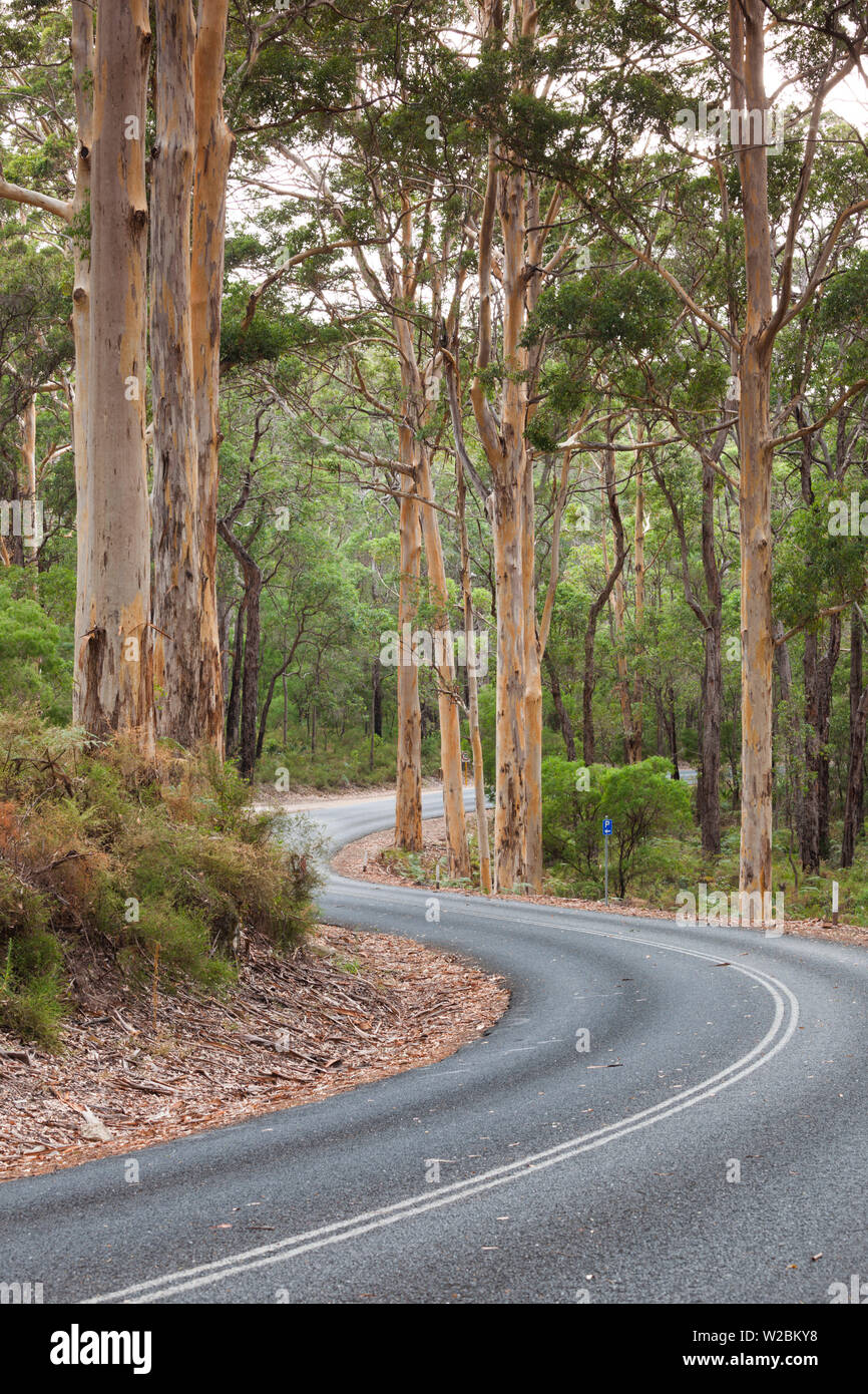 Kari trees hi-res stock photography and images - Alamy