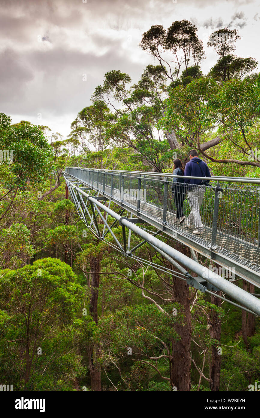 Tree top walk australia hi-res stock photography and images - Alamy