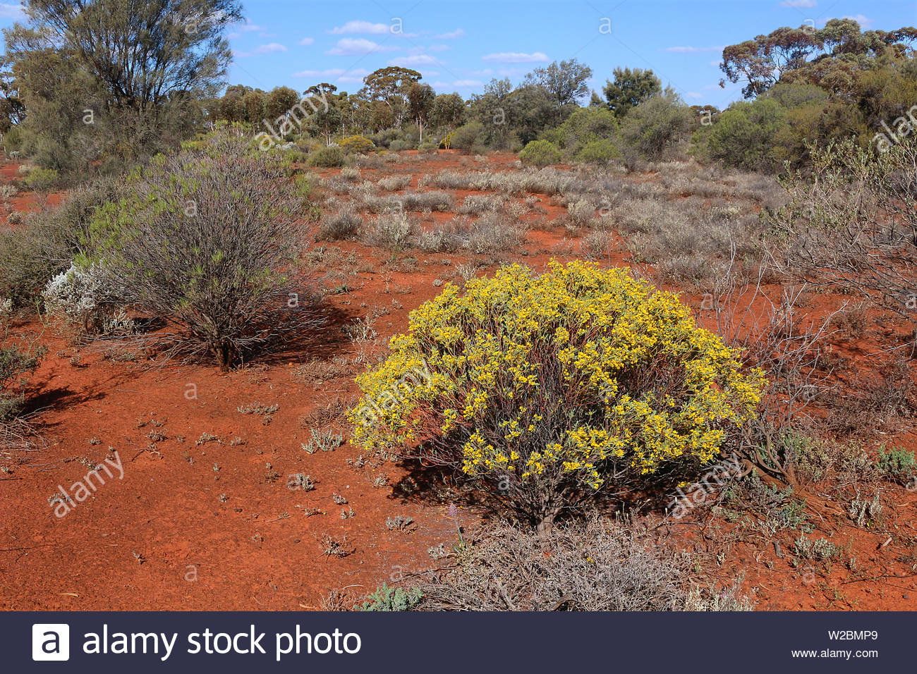 Australian Goldfields High Resolution Stock Photography and Images - Alamy