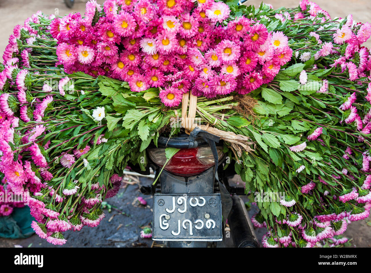 Flowers on back of motorcycle, market, Mandalay, Myanmar (Burma Stock ...