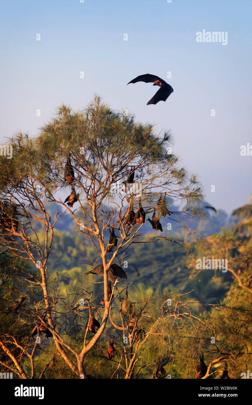 Myanmar (Burma), Rakhine State, Sittwe Stock Photo - Alamy