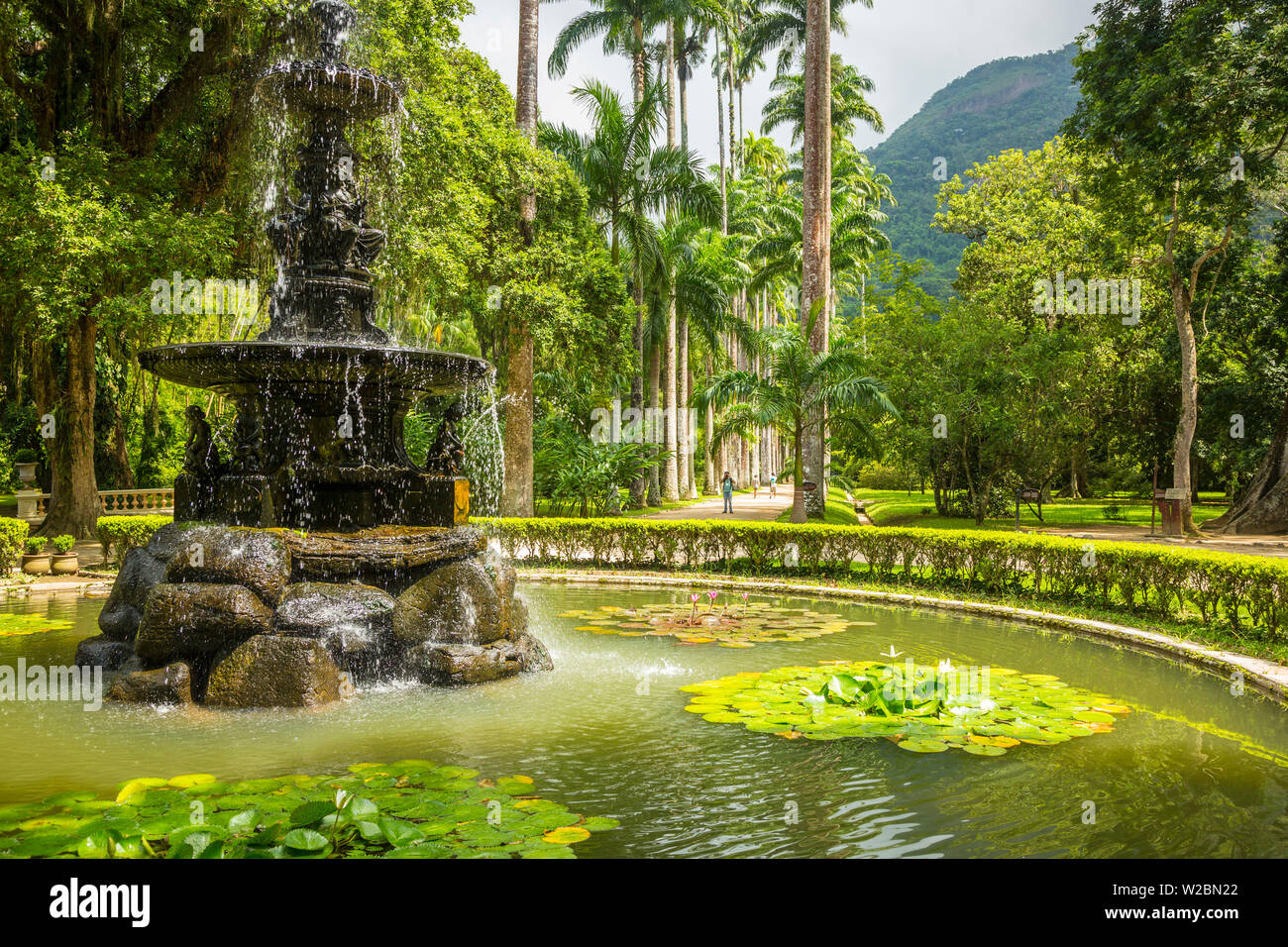 Jardim botanico hi-res stock photography and images - Alamy
