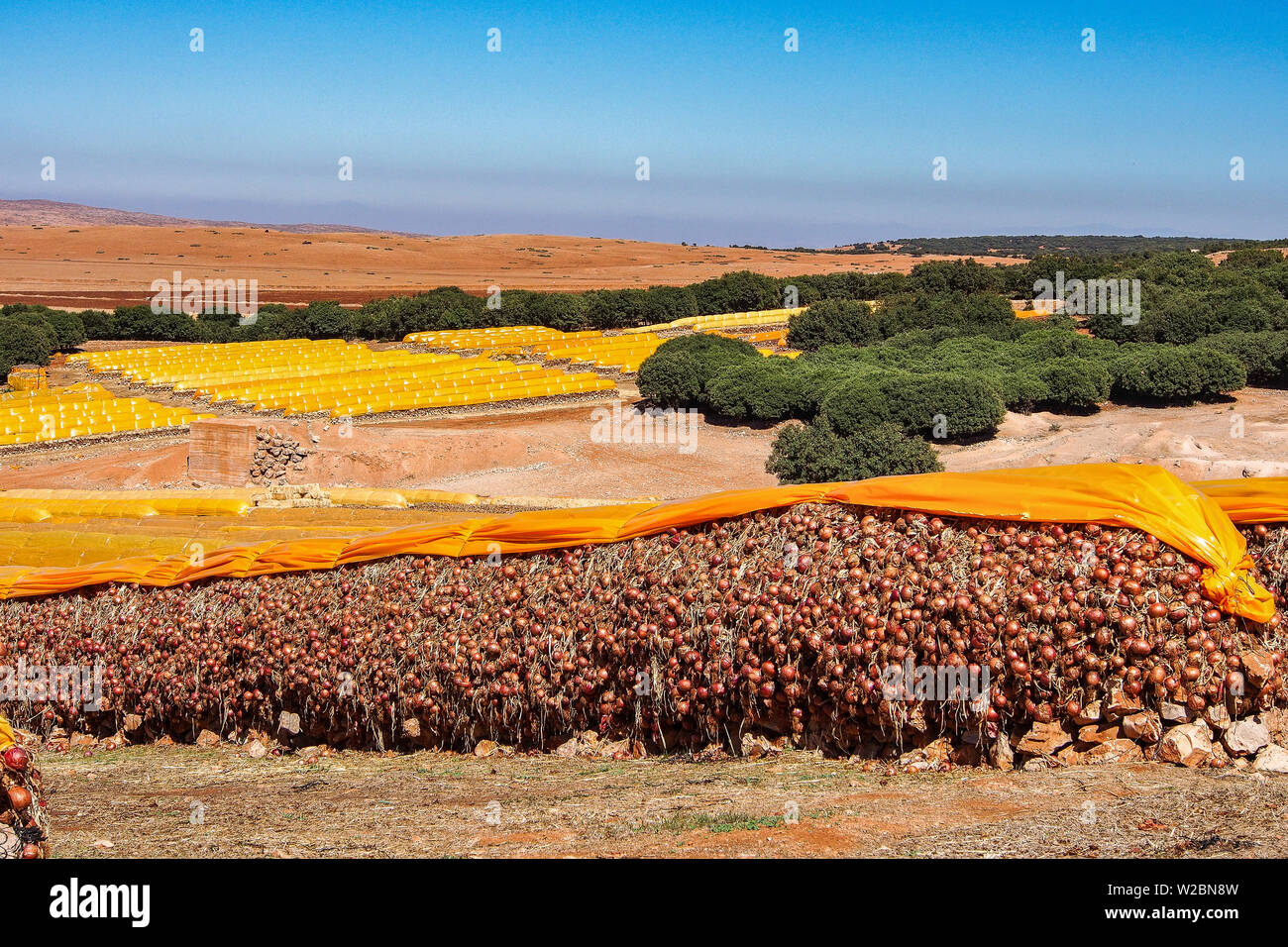 Moroccan mountain landscape between Midelt and Meknes in Morocco ...