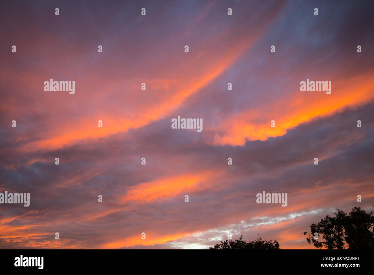 Mid-summer sunset in West Sussex, UK Stock Photo - Alamy