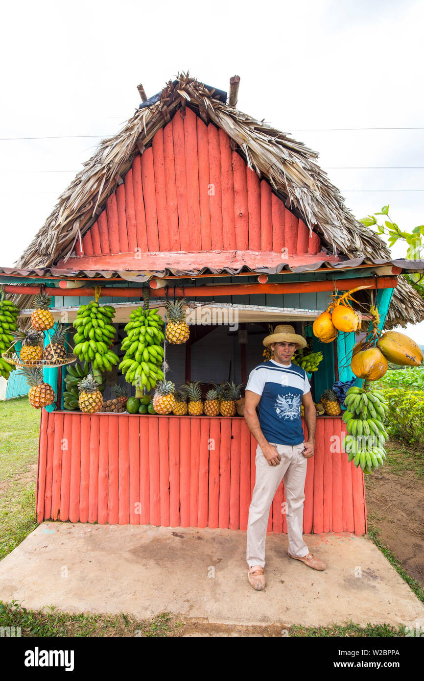 Small hut selling fruit, Vinales, Pinar del Rio Province, Cuba Stock ...