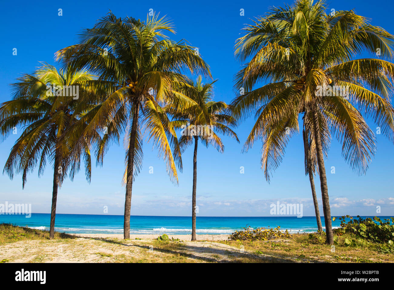 Cuba beach hi-res stock photography and images - Alamy