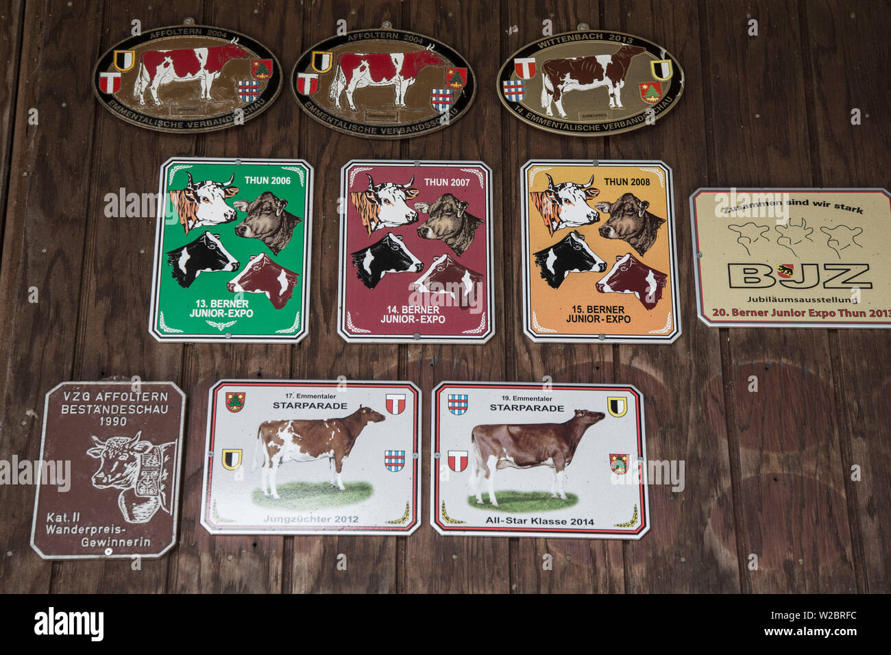 Best cow awards on the wall of a cowshed, Emmental Valley, Berner ...