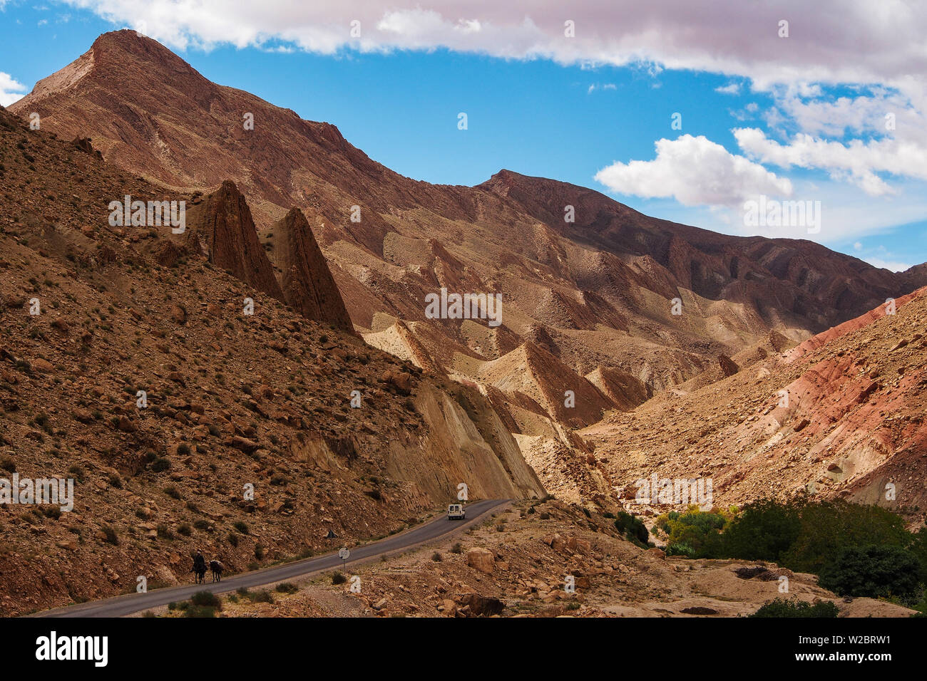 the beautiful Rose Valley - Vallee des Roses, near Ouarzazate, Morocco ...