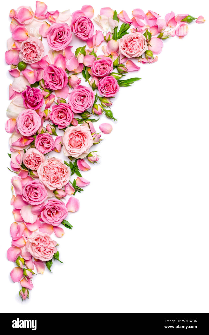 Vertical border of fresh roses on a white background. Wedding or ...