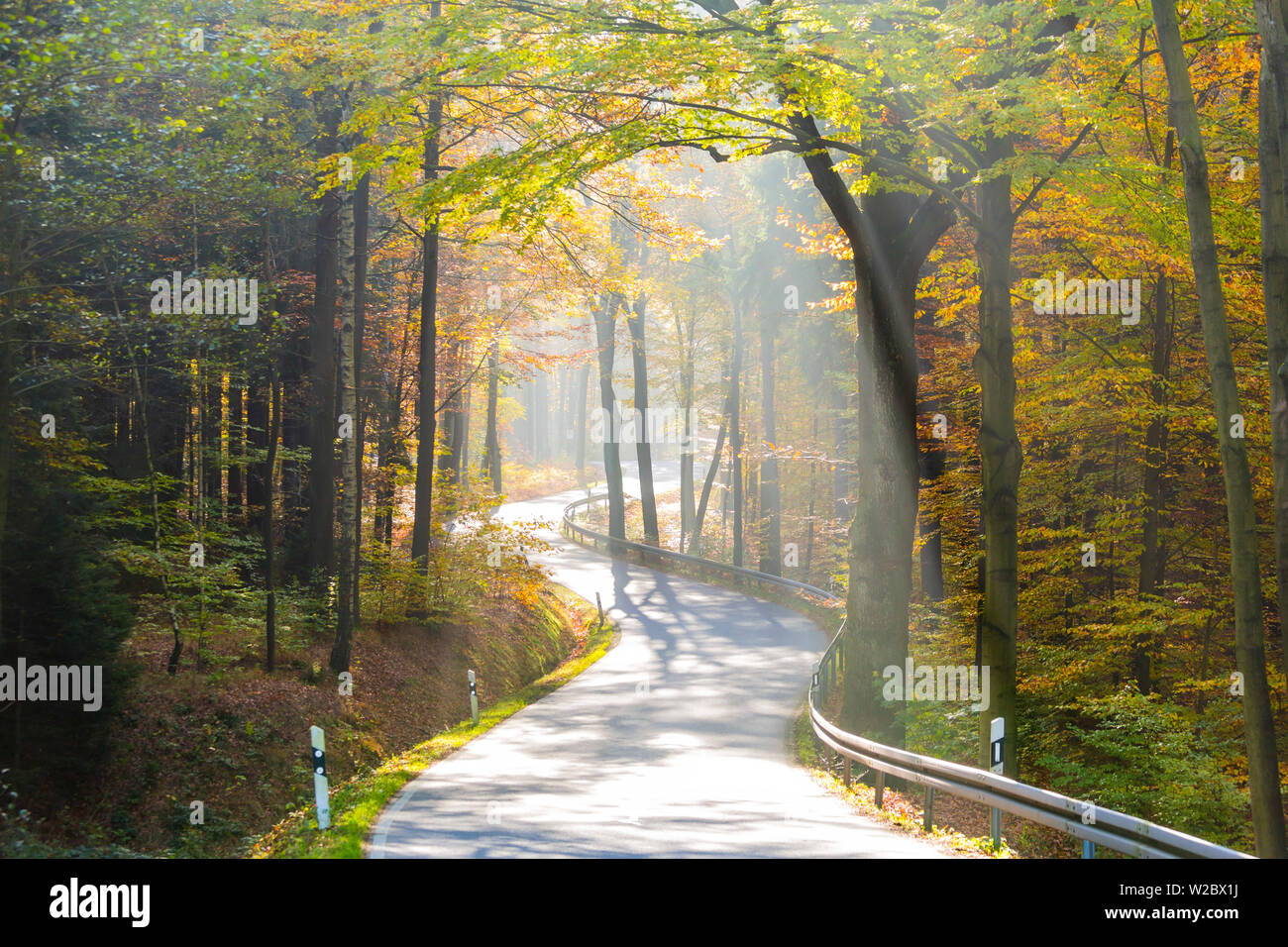 Autumn germany hi-res stock photography and images - Alamy