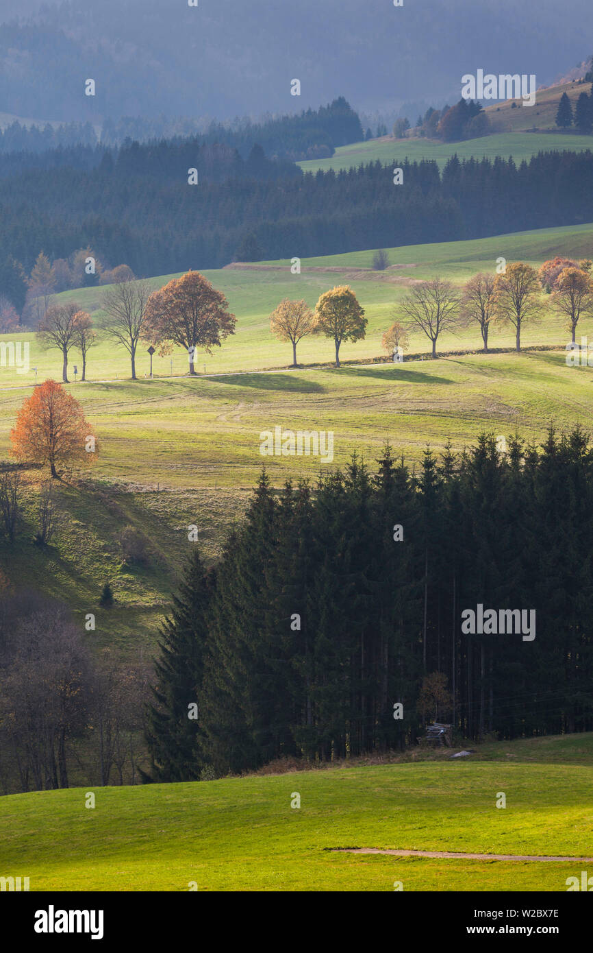 Germany, Baden-Wurttemburg, Black Forest, Bernau im Schwarzwald ...