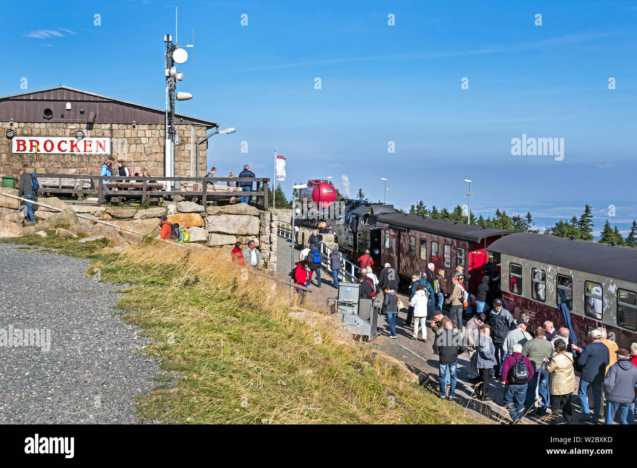 Brocken tree hi-res stock photography and images - Alamy