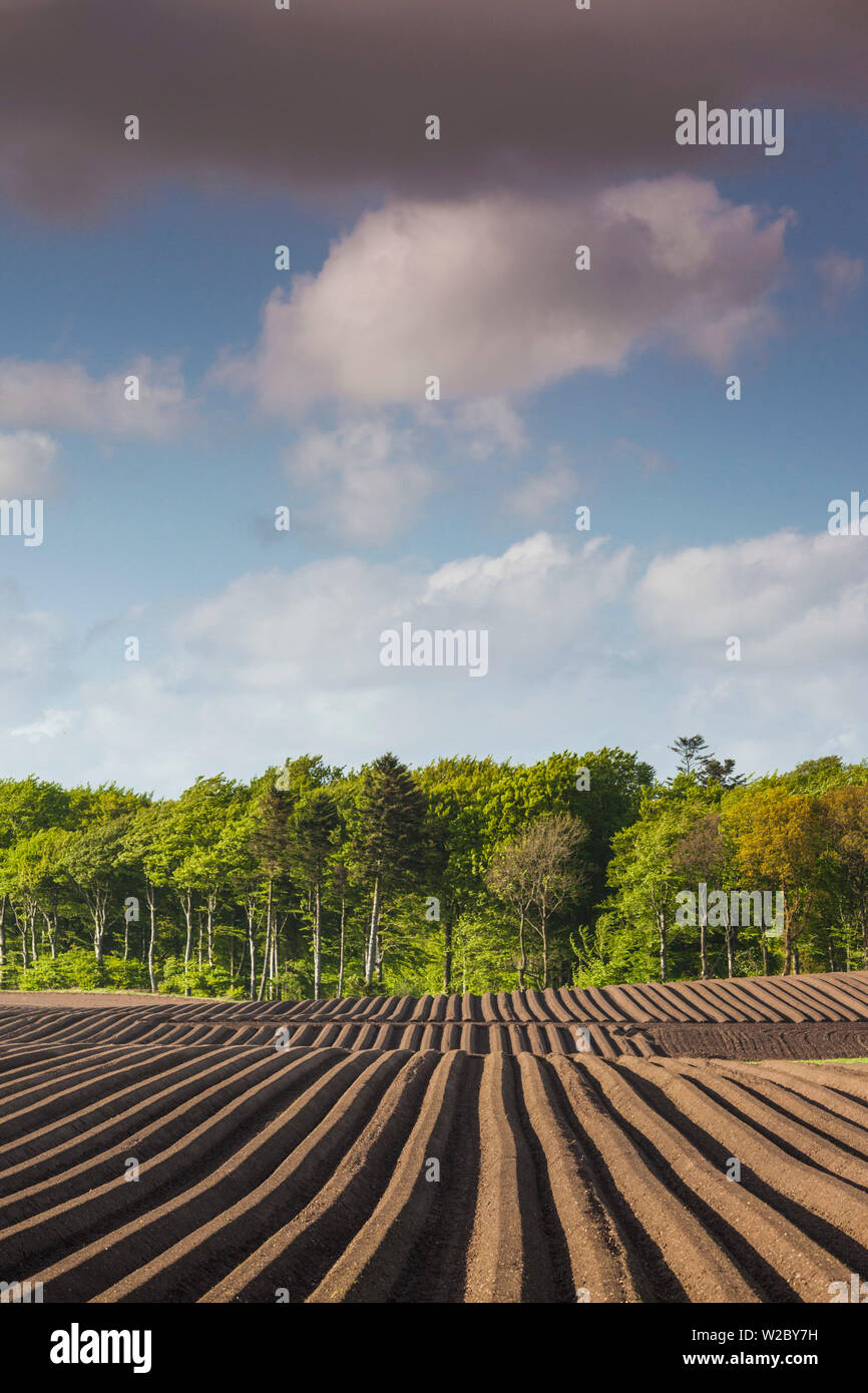Tjele hi-res stock photography and images - Alamy