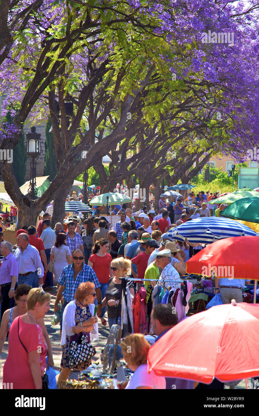 Jacaranda trees spain hi-res stock photography and images - Alamy