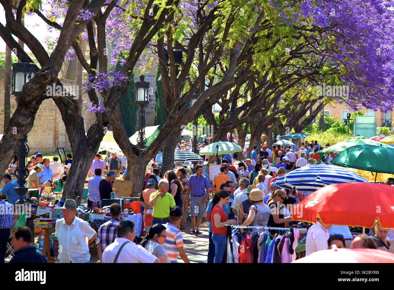 Jacaranda trees spain hi-res stock photography and images - Alamy