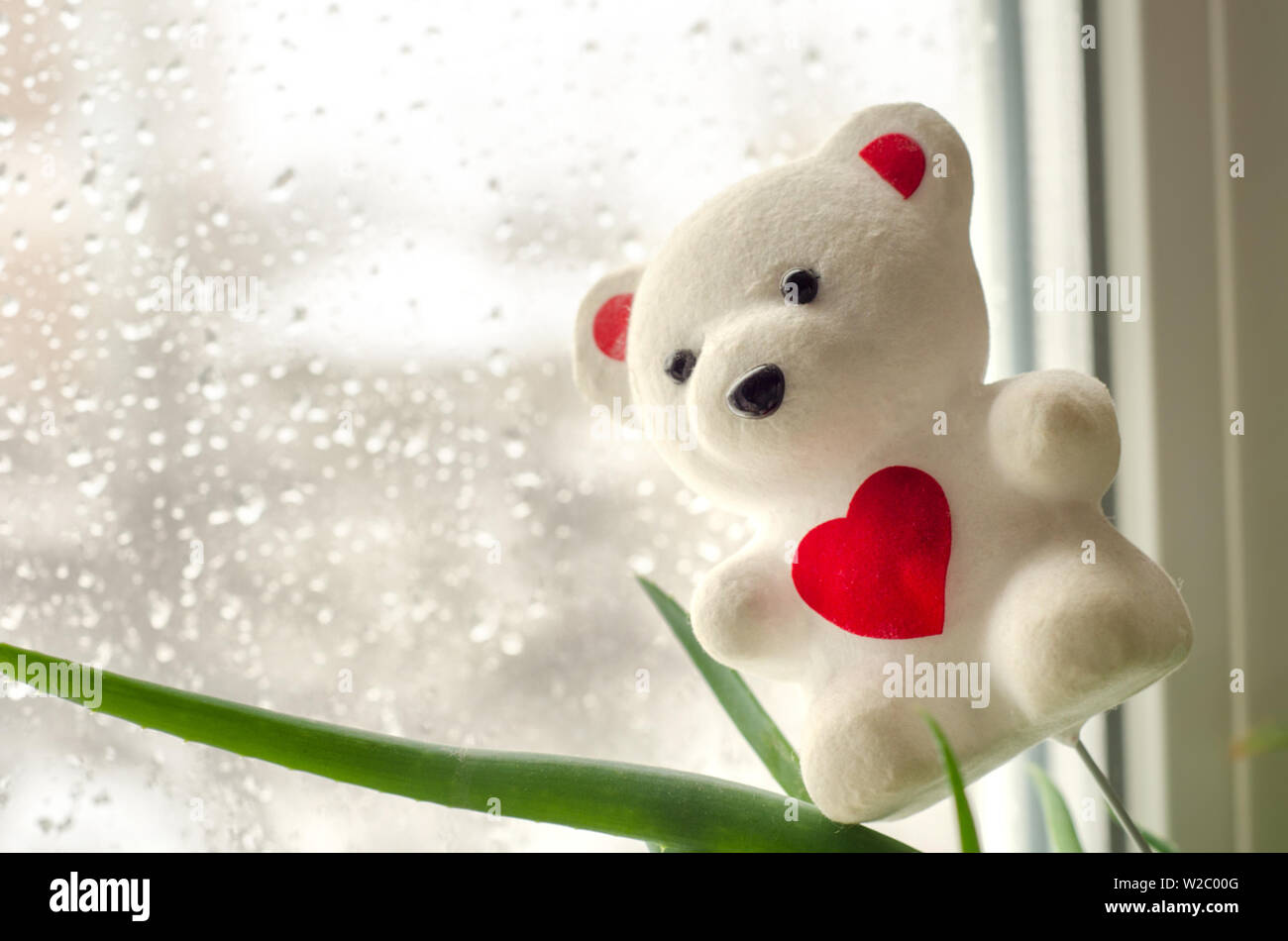 teddy bear near window with raindrop Stock Photo - Alamy