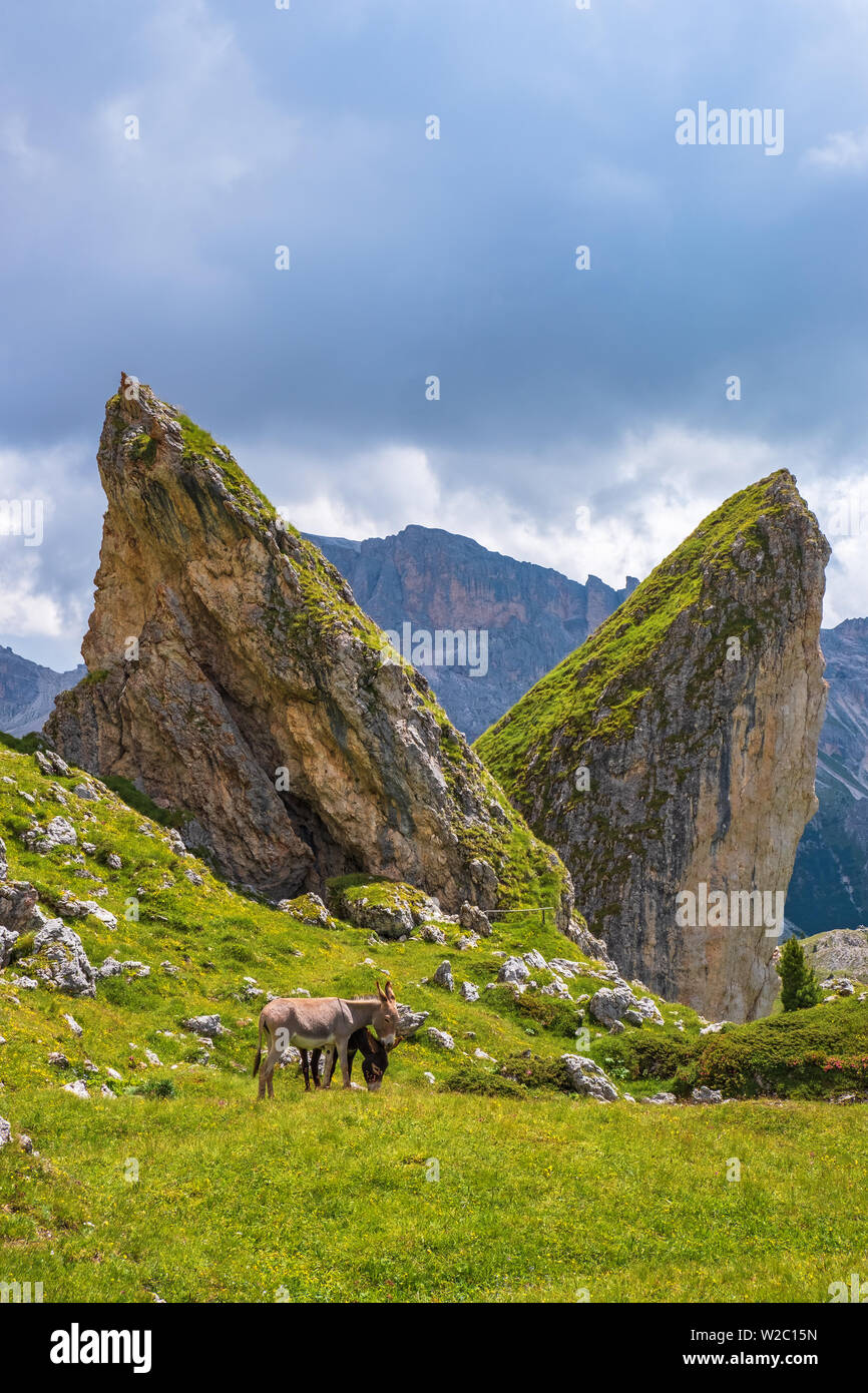Pointed rock peak hi-res stock photography and images - Alamy