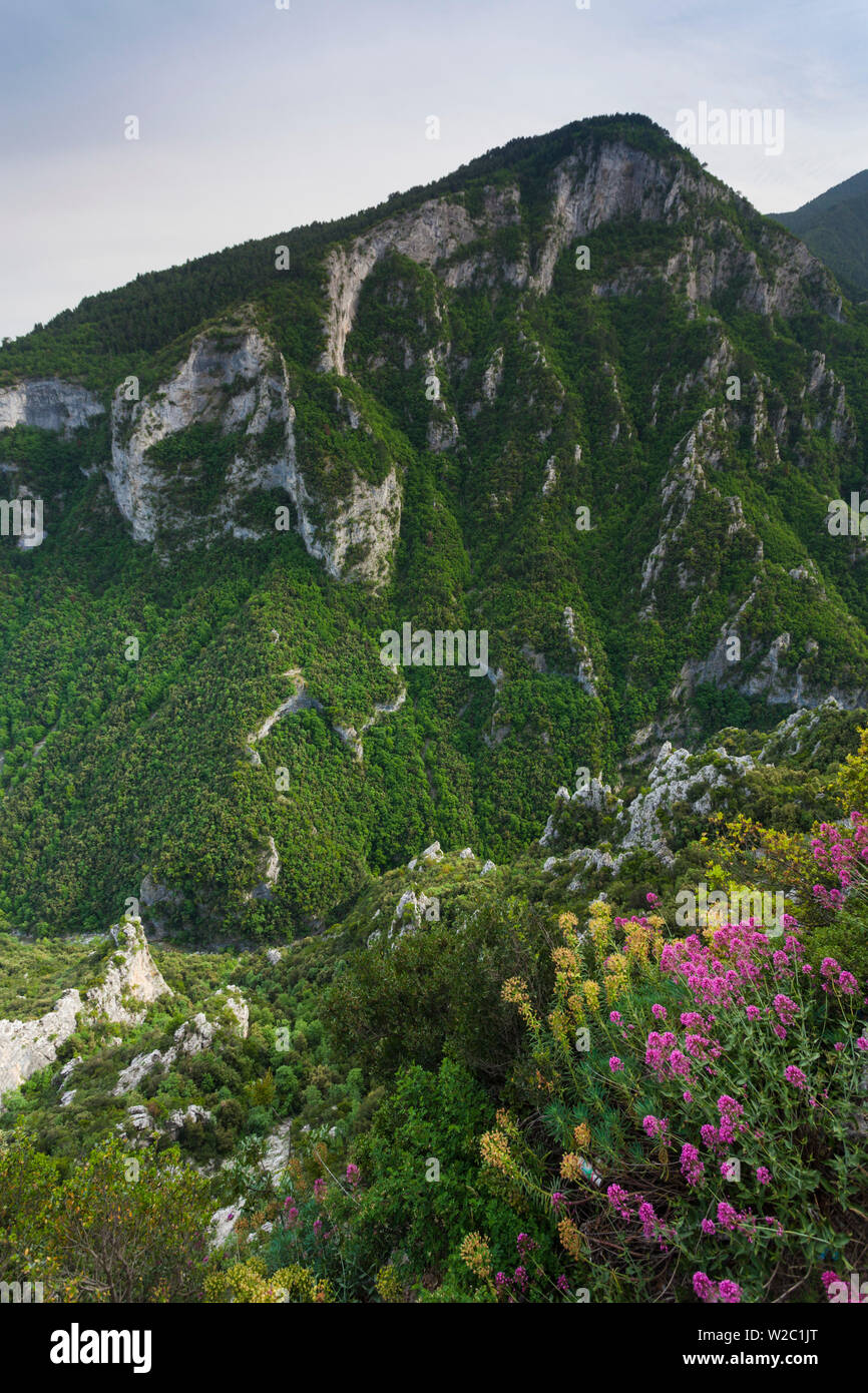 Greece, Central Macedonia Region, Litohoro, Mount Olympus, elevated ...