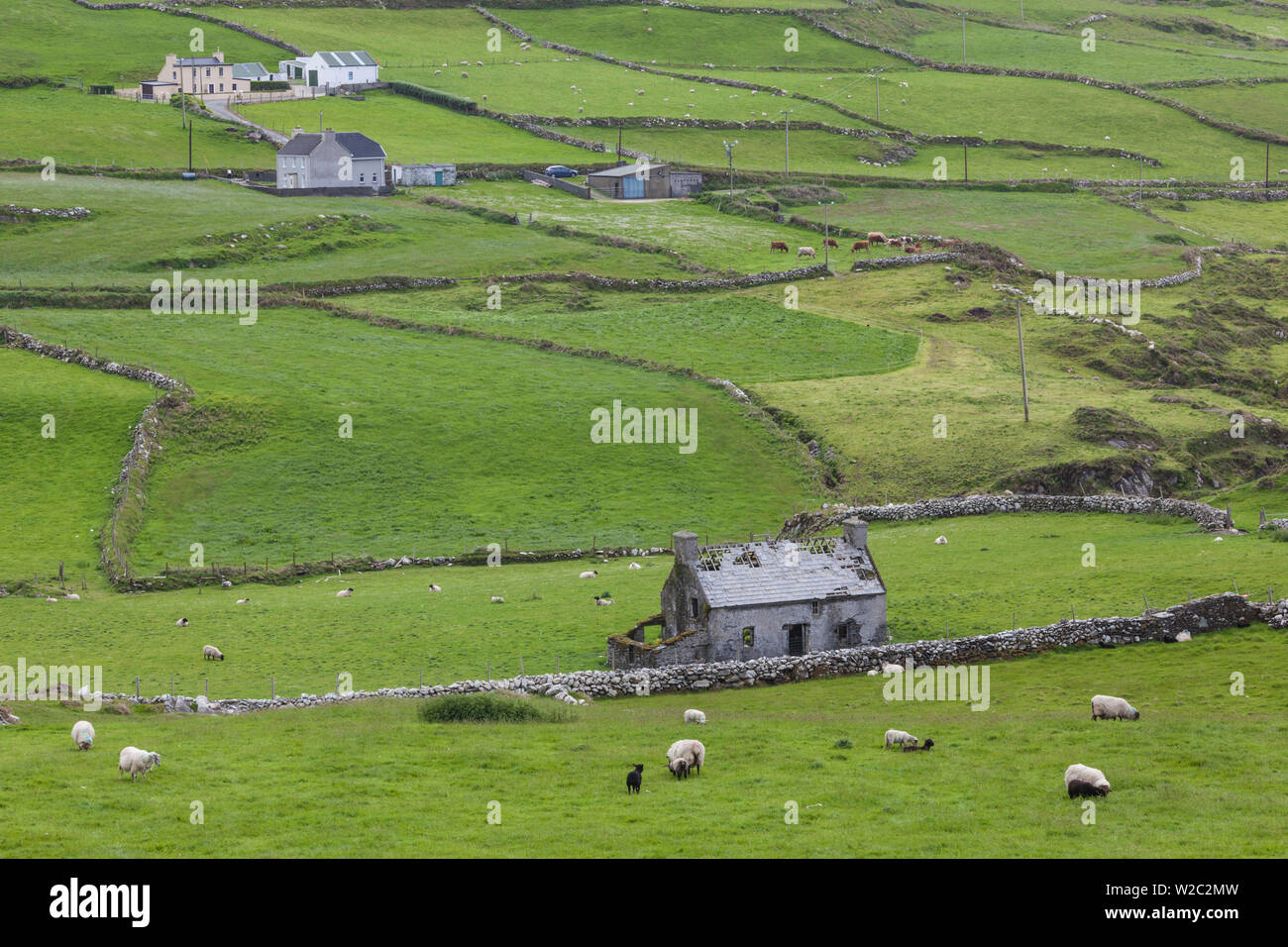 Ireland, County Cork, Beara Peninsula, Ring of Beara, Cahermore ...