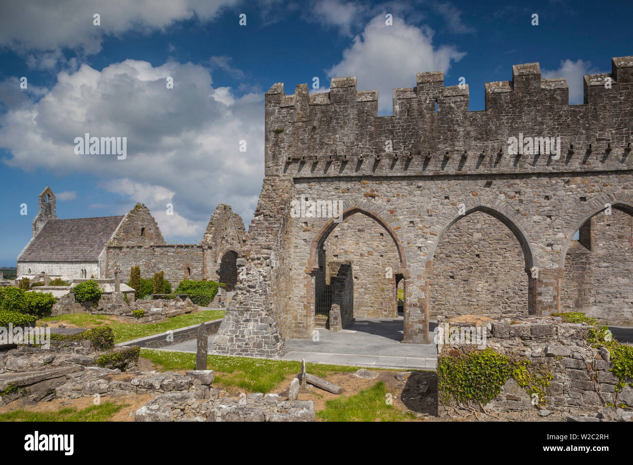 Ireland, County Kerry, Ardfert, Ardfert Cathedral, 13th century Stock ...