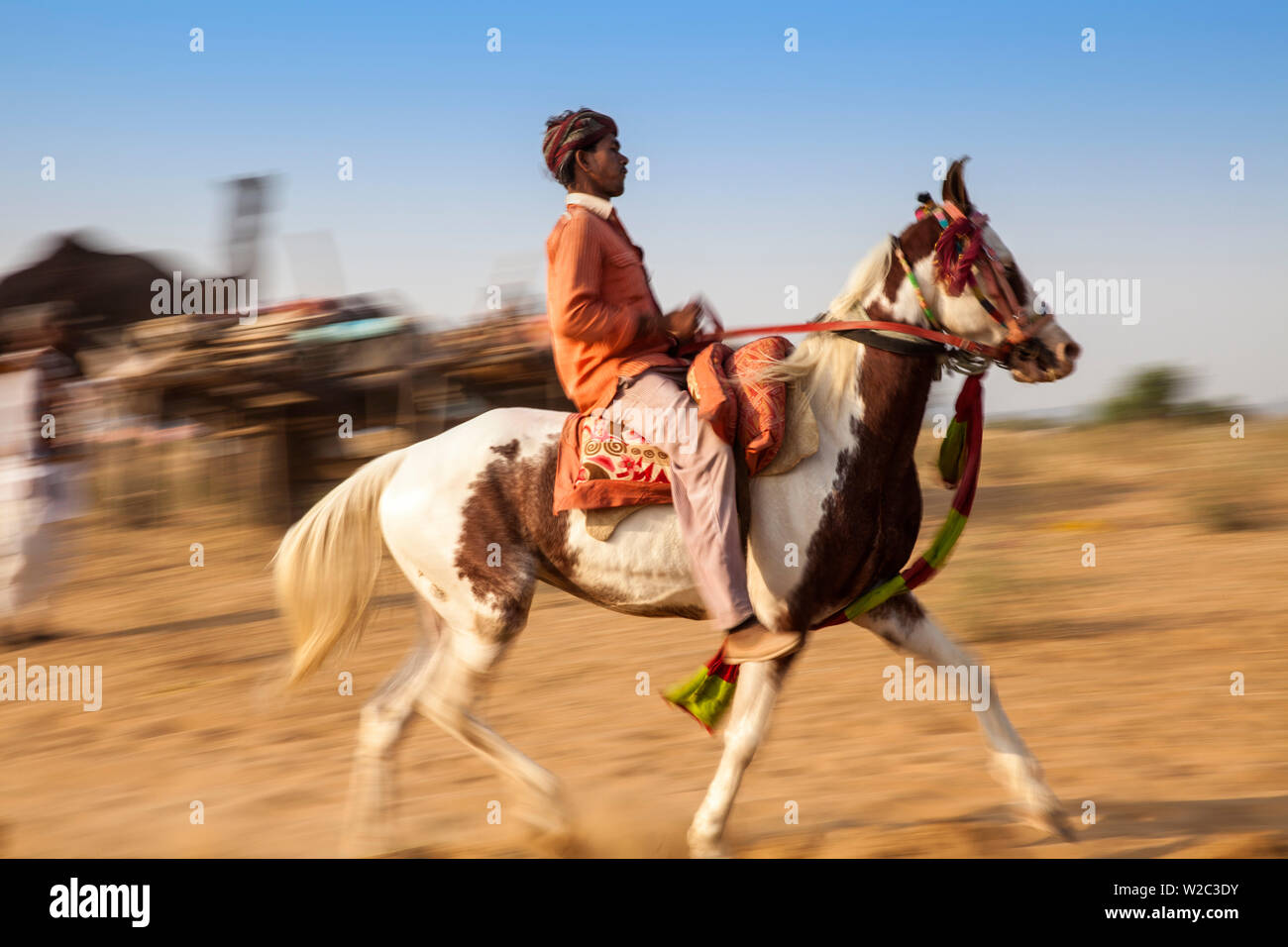 India, Rajasthan, Pushkar, A potential purchaser putting a horse ...